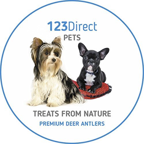 123Direct – Premium Stag Fallow Deer Antler Bars - Doggiebed.co.uk