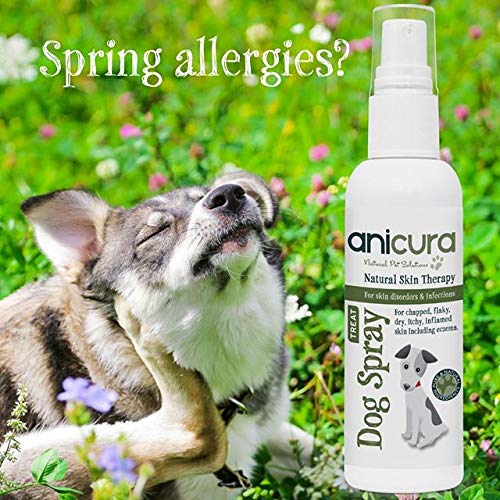 Anicura Natural Dog Spray for dry & itchy skin, eczema, dermatitis ...