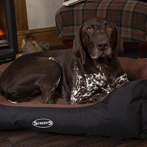 Scruffs Expedition Box Bed (S) Chocolate - Doggiebed.co.uk