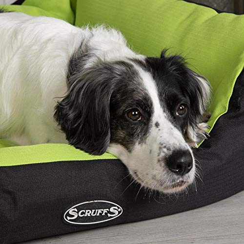 Scruffs Expedition Box Bed (S) Lime - Doggiebed.co.uk