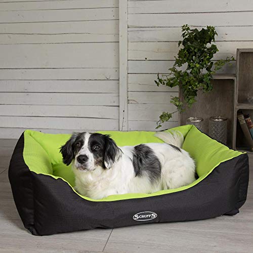 Scruffs Expedition Box Bed (S) Lime - Doggiebed.co.uk