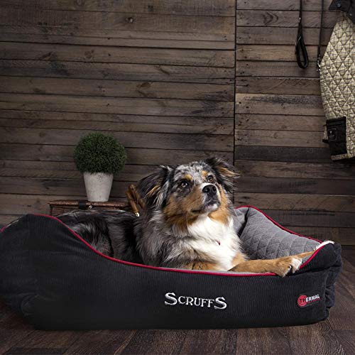 Scruffs Self Heating Thermal Box Bed (S) Black - Doggiebed.co.uk